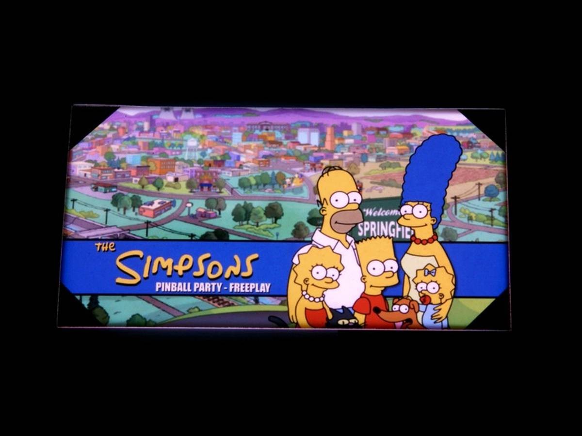 Instruction Card for The Simpsons Pinball Party, transparent